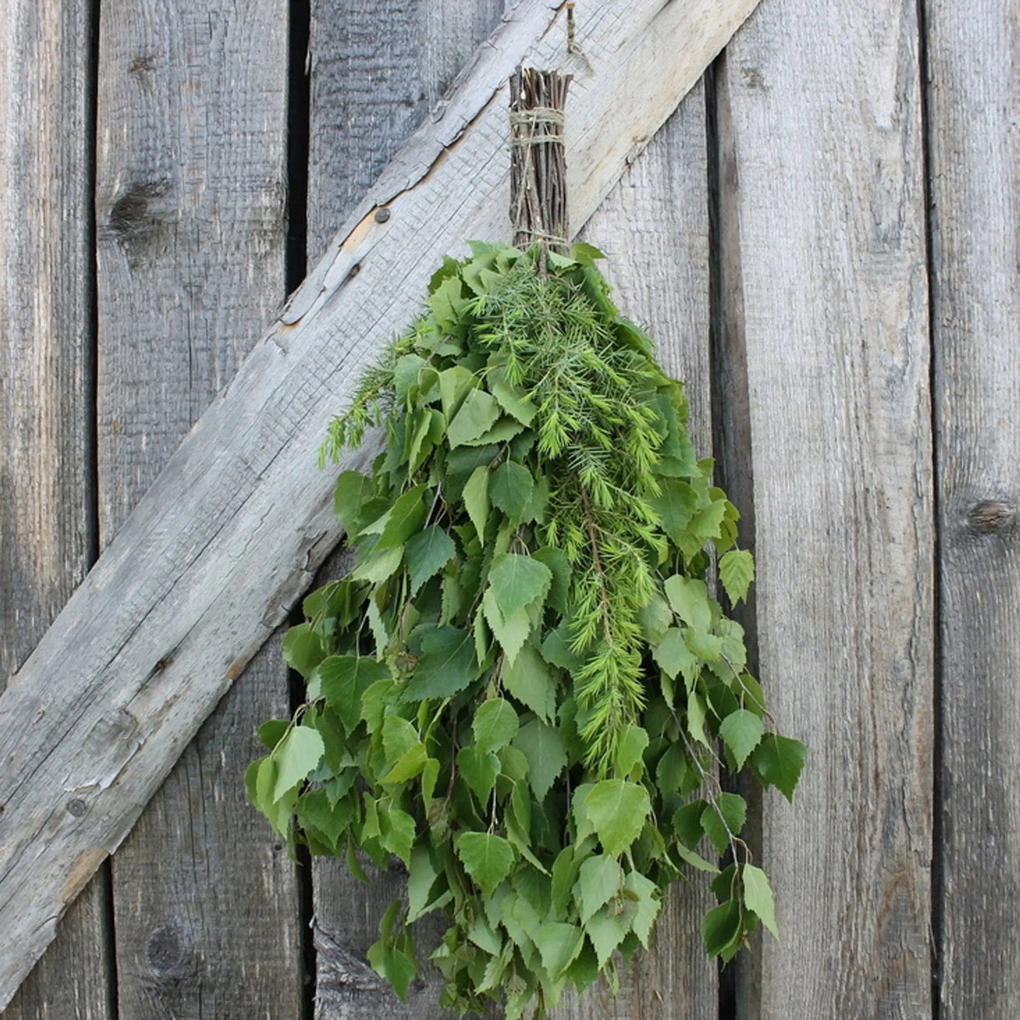 Dried Hand Made Sauna Whisk / Sauna Vihta - Birch & Juniper