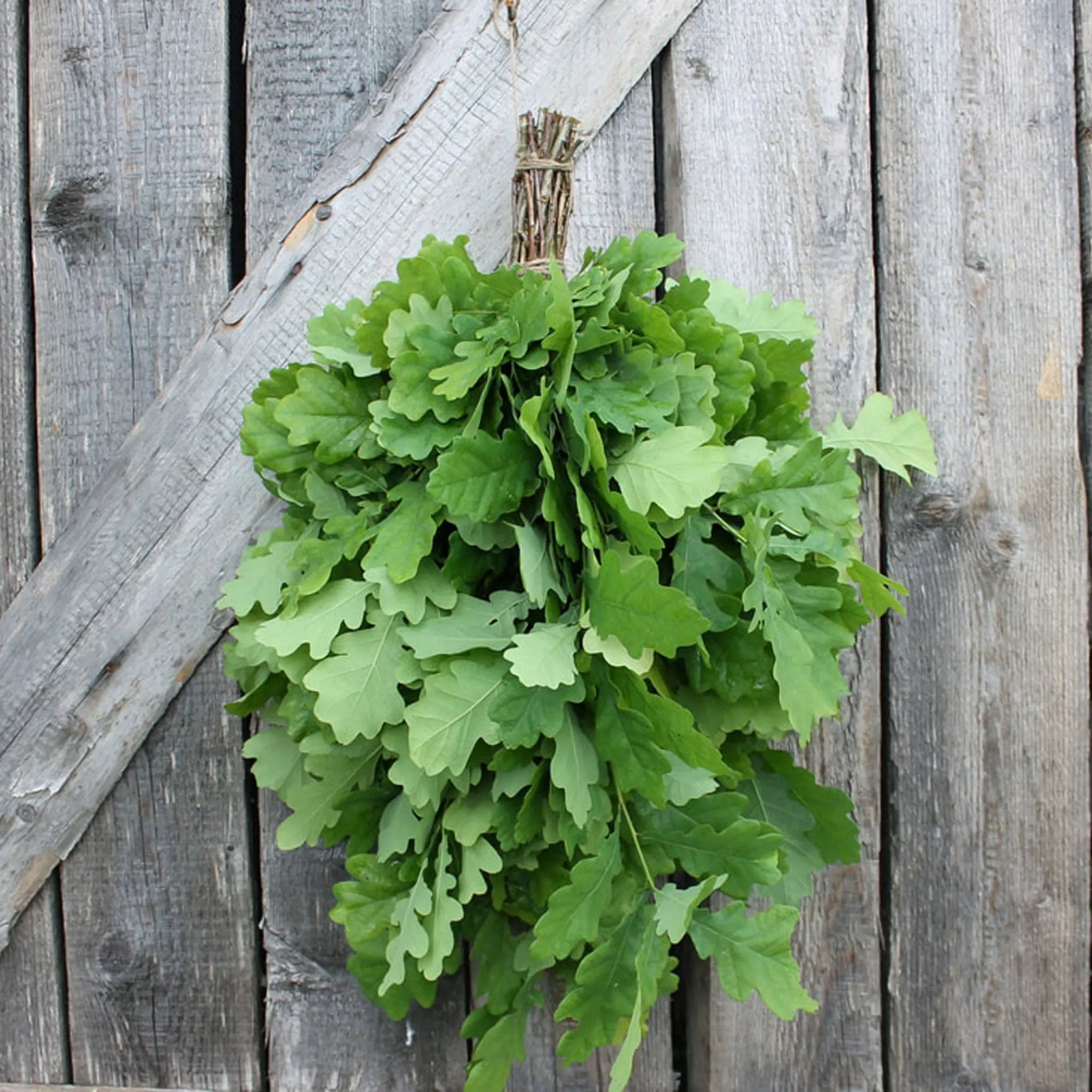 Dried Hand Made Sauna Whisk / Sauna Vihta - Oak | Finnmark Sauna